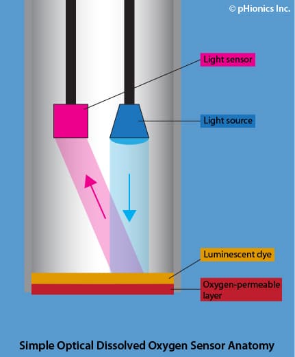 Comparison of Dissolved Oxygen Sensors - pHionics Comparison of Dissolved Oxygen Sensors - pHionics