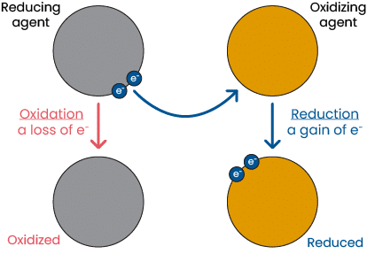 The Basics of Oxidation-Reduction Potential (ORP) - pHionics