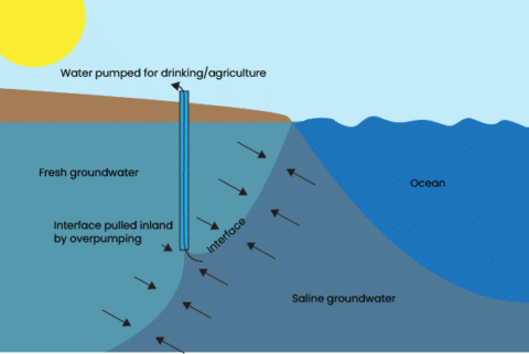 Understanding Saltwater Intrusion - pHionics
