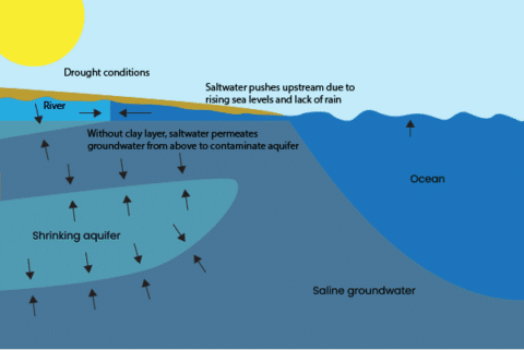 Understanding Saltwater Intrusion - pHionics