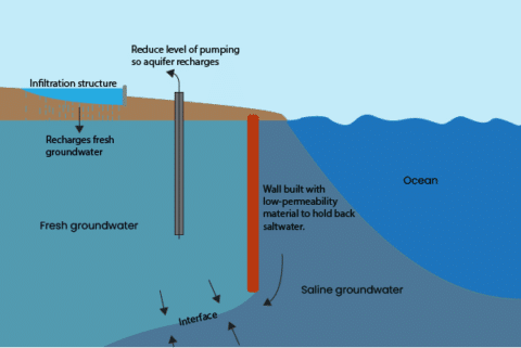 Understanding Saltwater Intrusion - pHionics