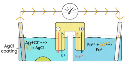 How a Glass pH Electrode Works - pHionics