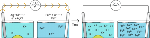 How a Glass pH Electrode Works - pHionics