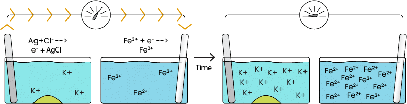 How a Glass pH Electrode Works - pHionics