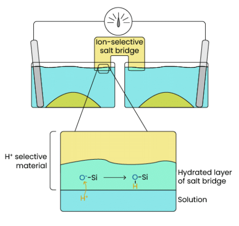 How a Glass pH Electrode Works - pHionics