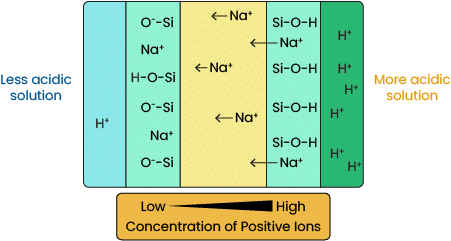 How a Glass pH Electrode Works - pHionics