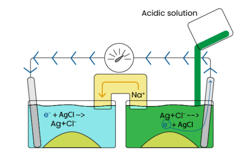 How a Glass pH Electrode Works - pHionics