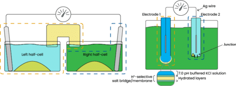 How a Glass pH Electrode Works - pHionics