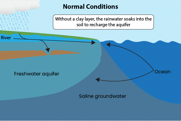 Understanding Saltwater Intrusion - pHionics