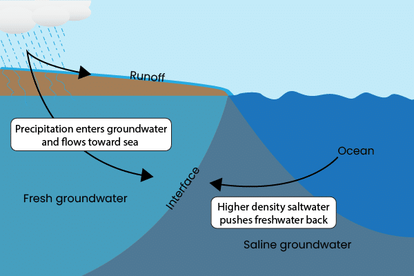Understanding Saltwater Intrusion - pHionics